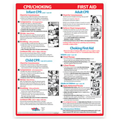 Emergency First Aid Posters & Teaching Aids – School Nurse Supply
