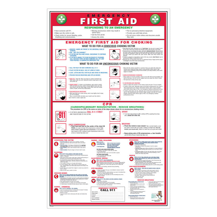 Emergency First Aid Poster – School Nurse Supply